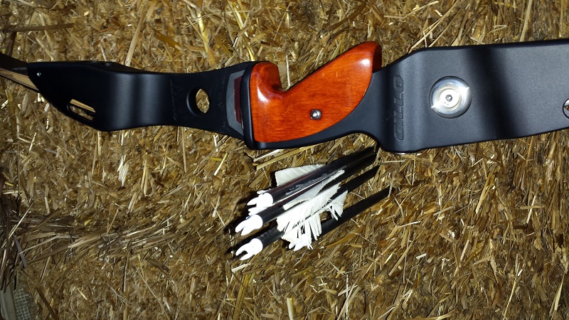 Gillo Ghost Review/Test (7.5GPP VS 10.0GPP) | Archery Talk Forum